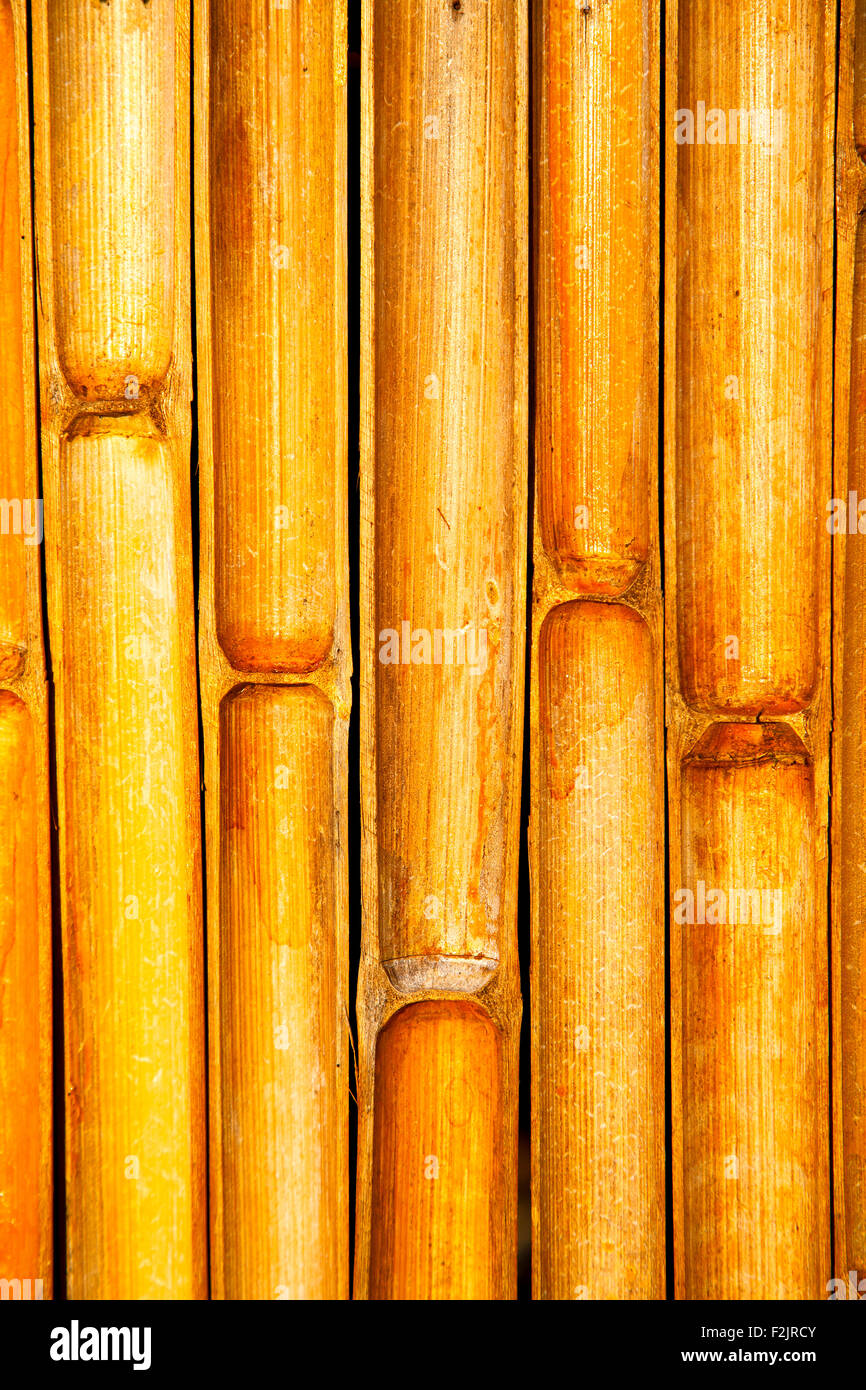 thailand abstract cross bamboo in the temple kho phangan bay asia and ...