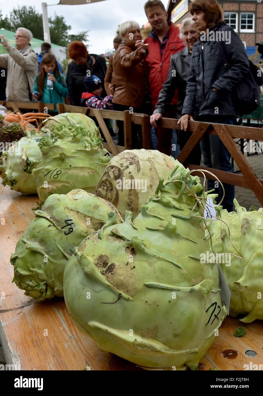 Giant vegetables competition hi-res stock photography and images - Alamy