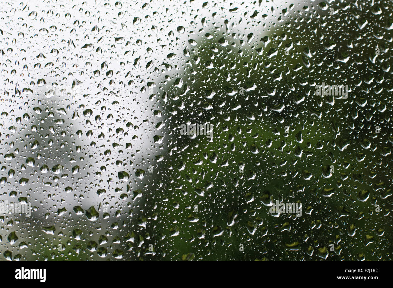 Rain drops on a window in front of out of focus green scenery Stock ...