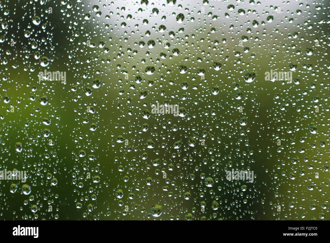 Rain drops on a window in front of out of focus green scenery Stock ...