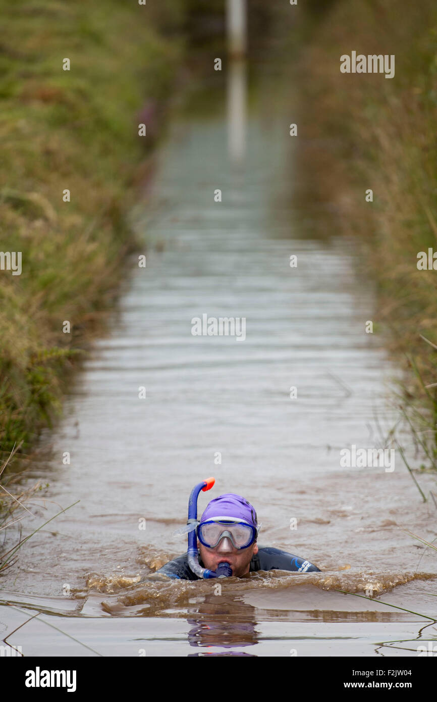 The World Bog Snorkelling Championships held at Waen Rhydd Bog on ...