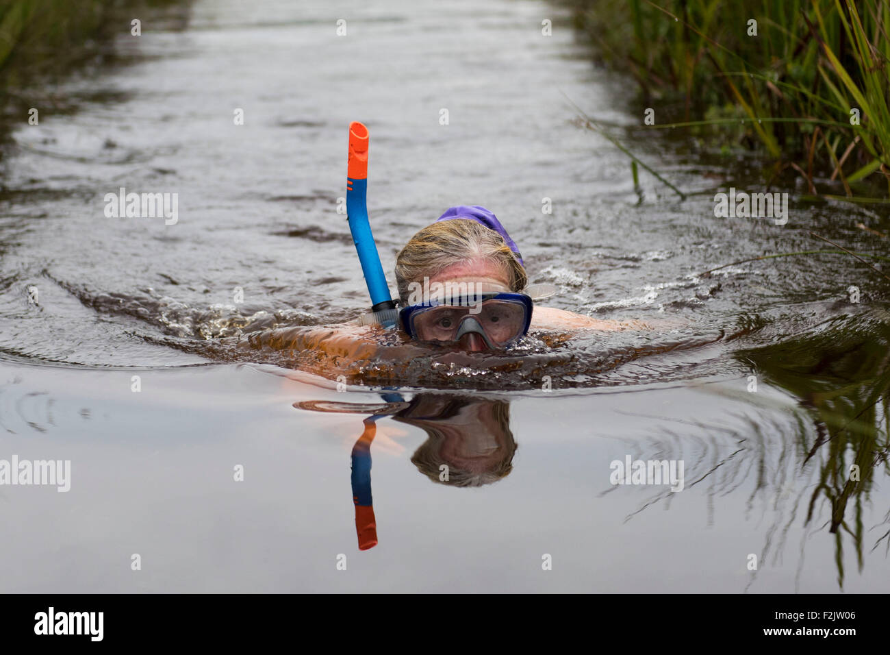 The World Bog Snorkelling Championships held at Waen Rhydd Bog on ...