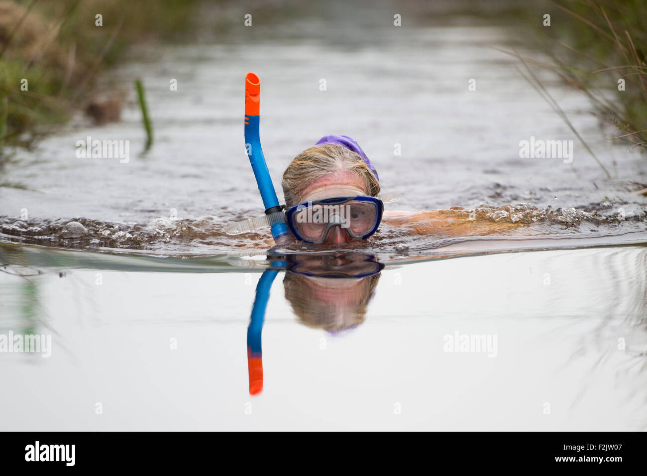 The World Bog Snorkelling Championships held at Waen Rhydd Bog on ...