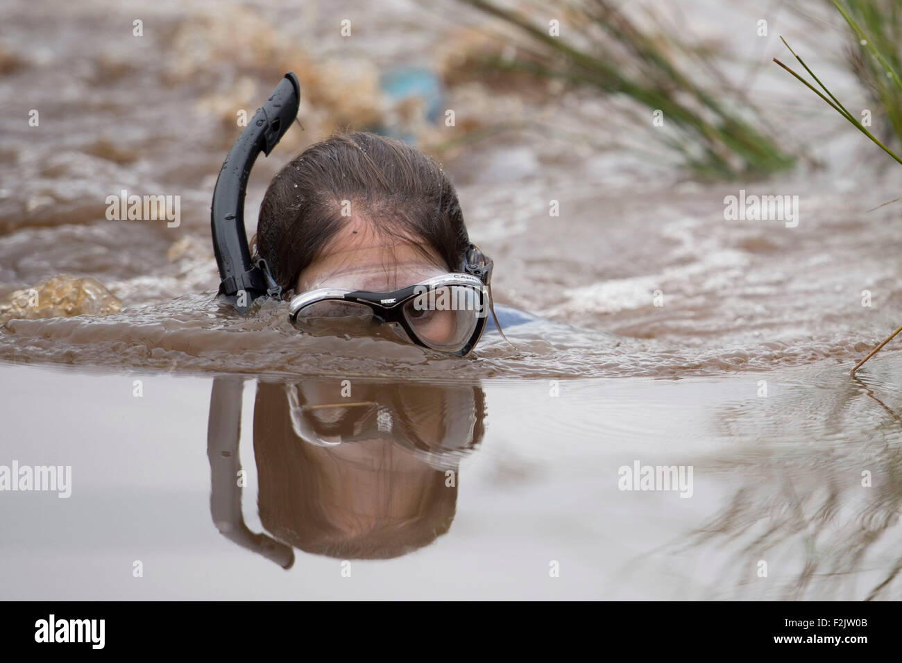 World bog snorkeling championships wales hi-res stock photography and ...