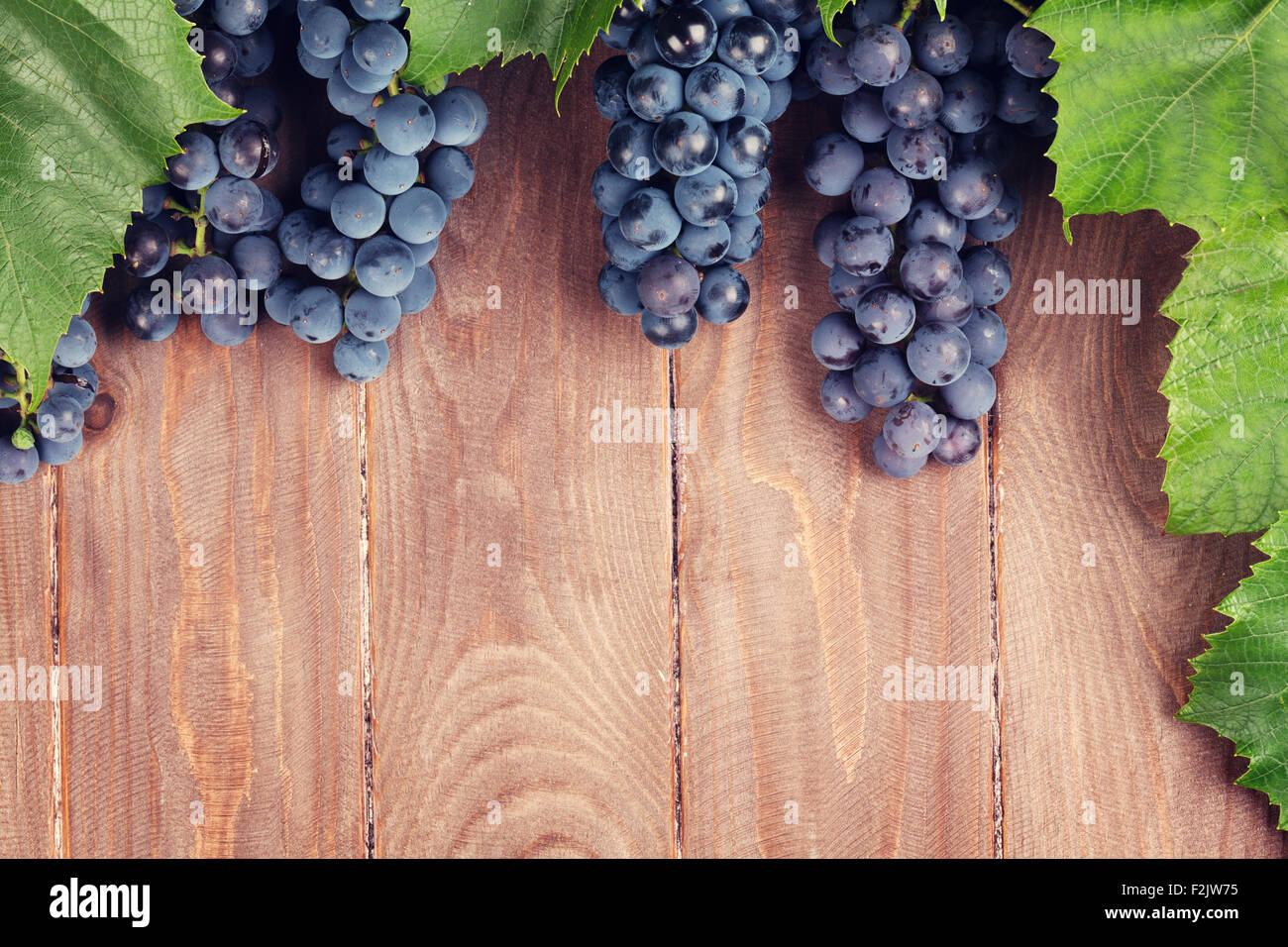 Red grape top view hi-res stock photography and images - Alamy