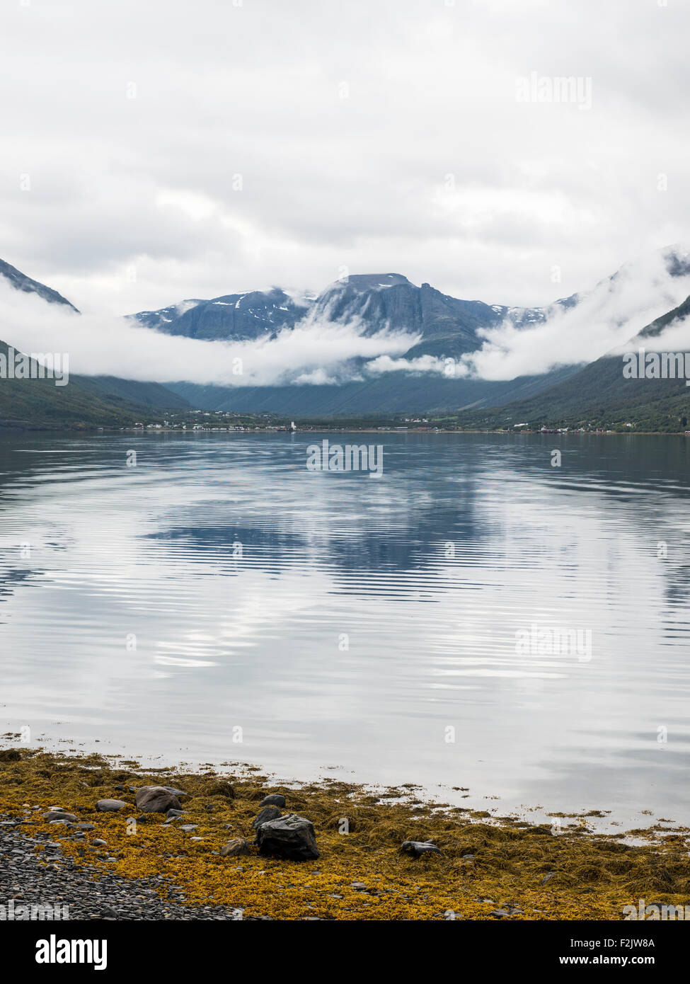 Fiord and mountains Stock Photo - Alamy