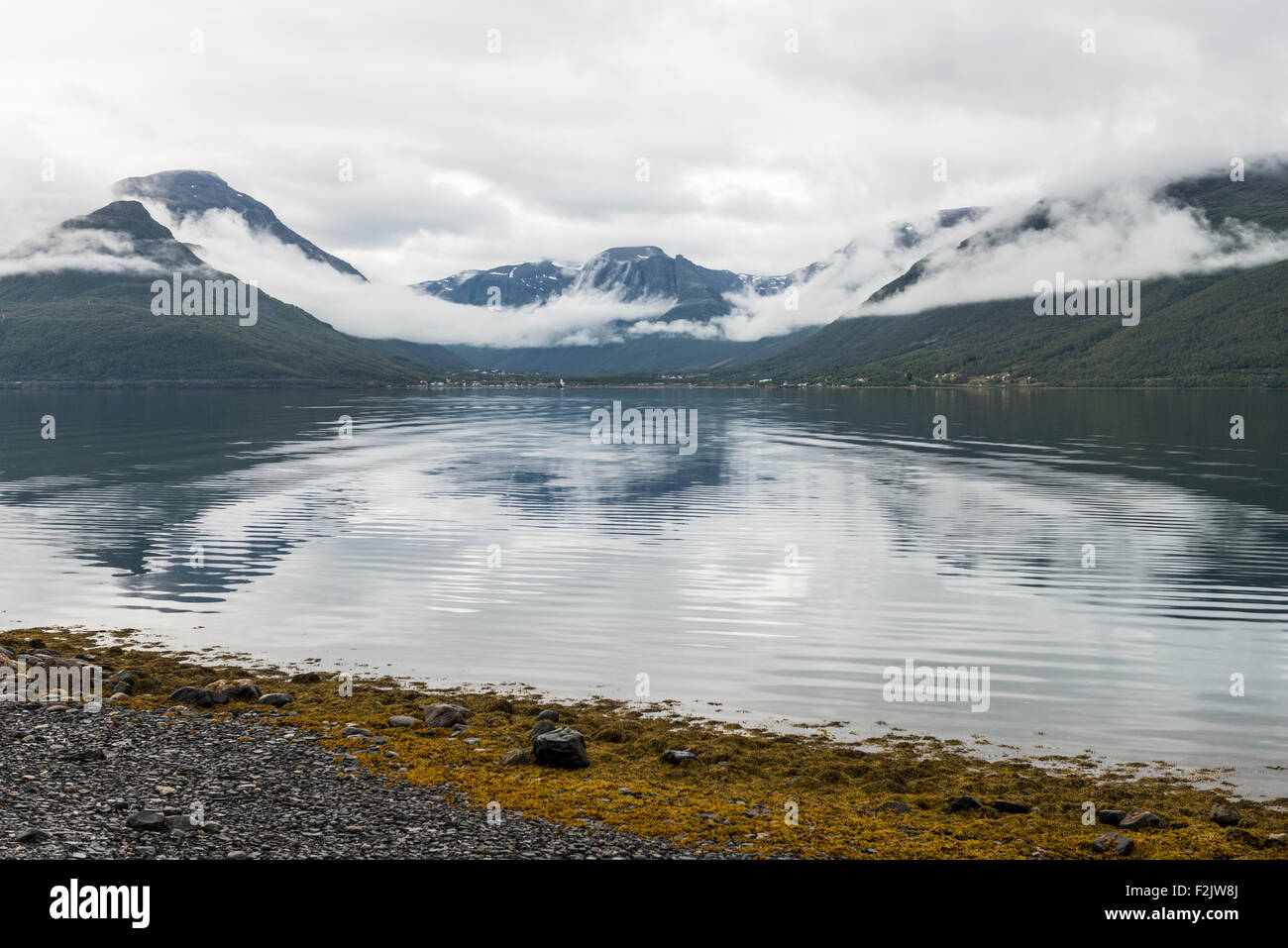 Fiord hi-res stock photography and images - Alamy