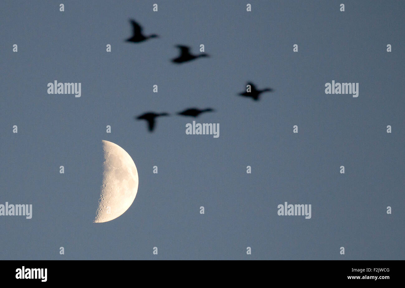 Moon fly past hi-res stock photography and images - Alamy