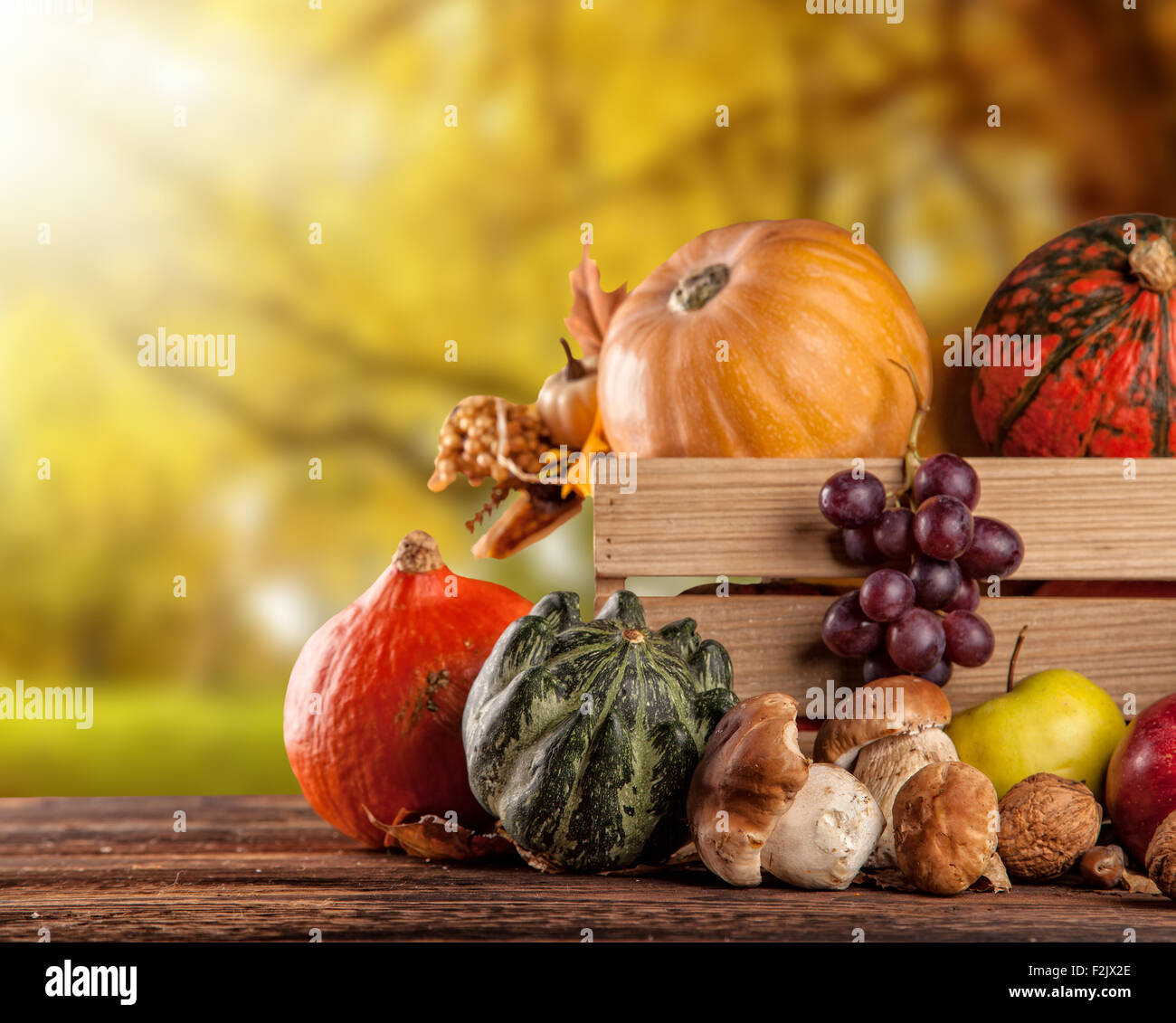 Fall autumn fruit vegetables hi-res stock photography and images - Alamy