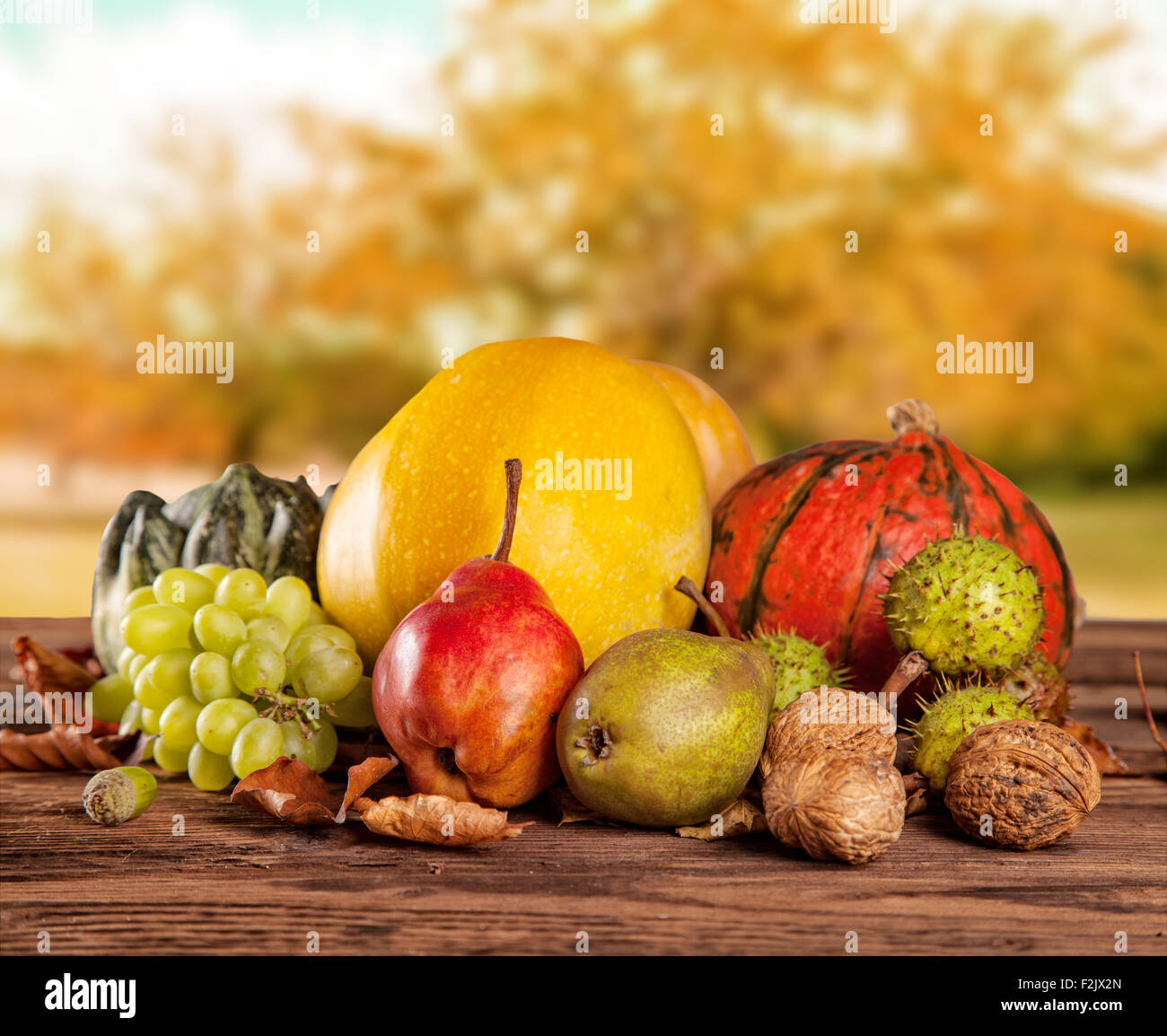 Fall fruit and vegetables on wood. Thanksgiving concept Stock Photo - Alamy