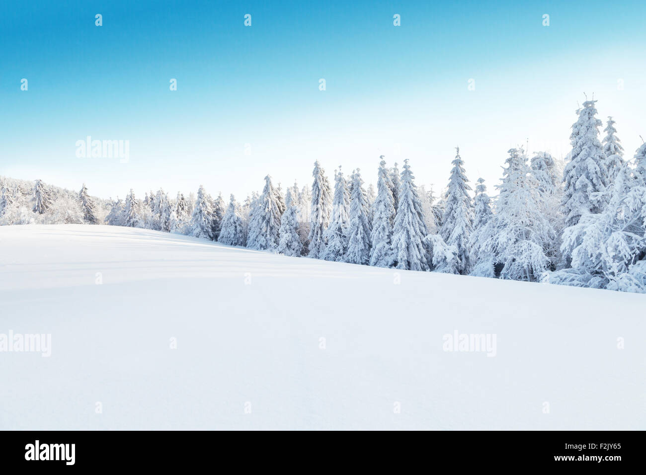 Winter snowy landscape Stock Photo - Alamy