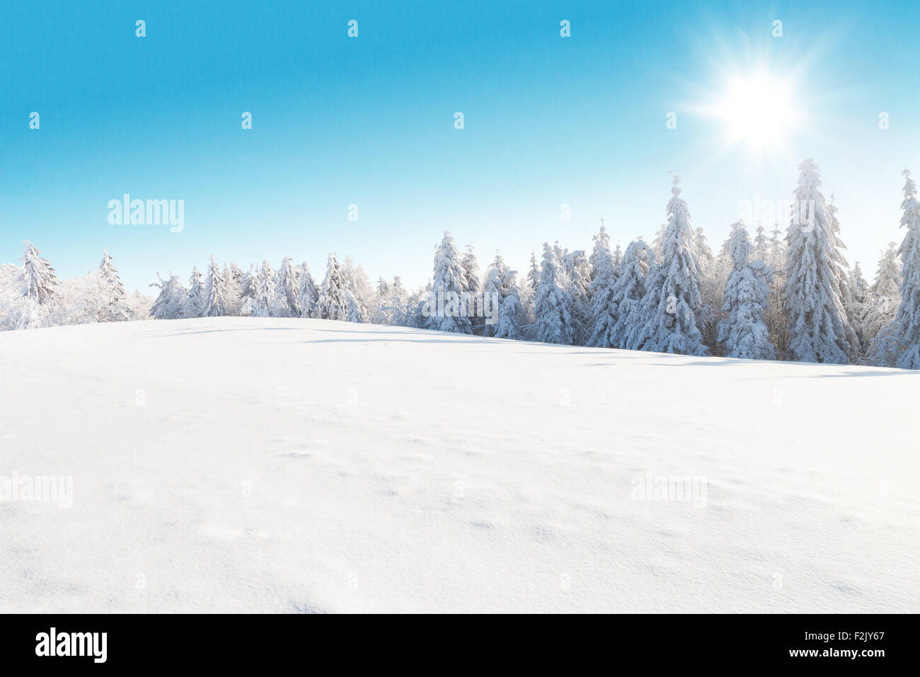 Winter snowy landscape Stock Photo - Alamy