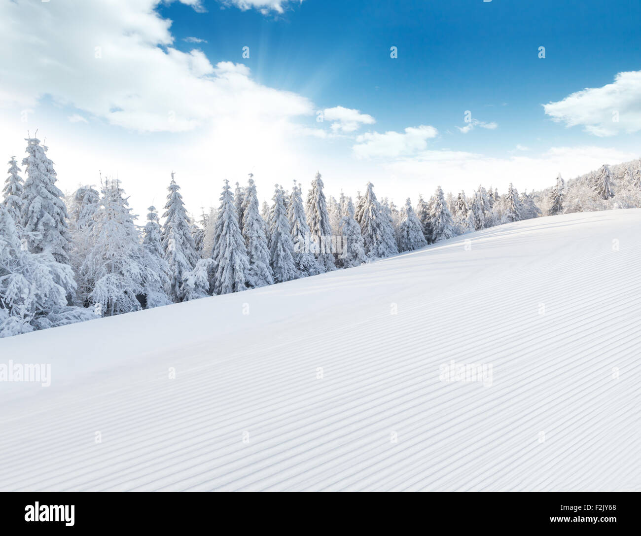 Winter snowy landscape Stock Photo - Alamy