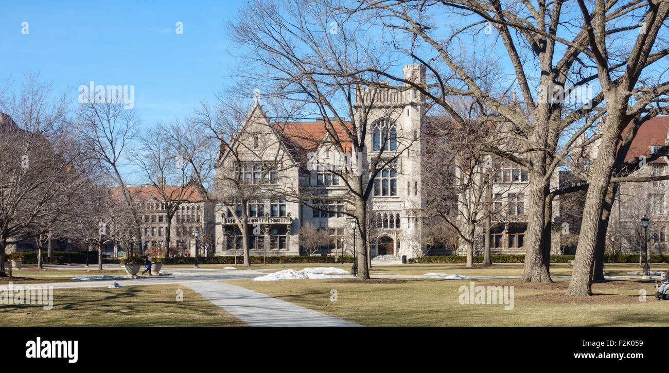 On the campus of the University of Chicago in Hyde Park, Chicago, IL ...