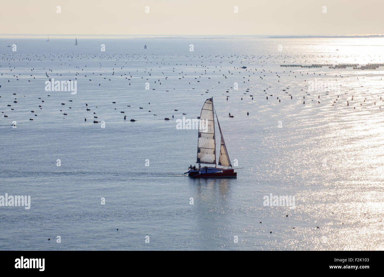 Sailboat on the Trieste sea at sunset Stock Photo - Alamy