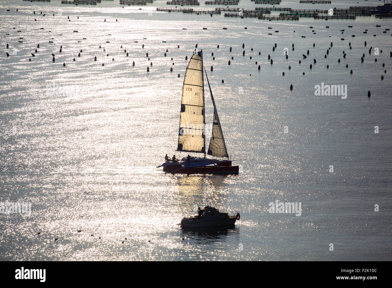 Sailboat on the Trieste sea at sunset Stock Photo - Alamy
