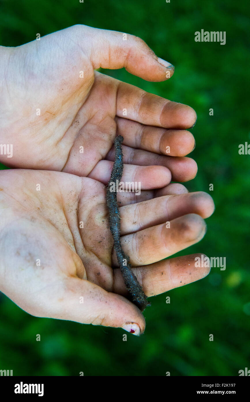 Earthworms children High Resolution Stock Photography and Images - Alamy