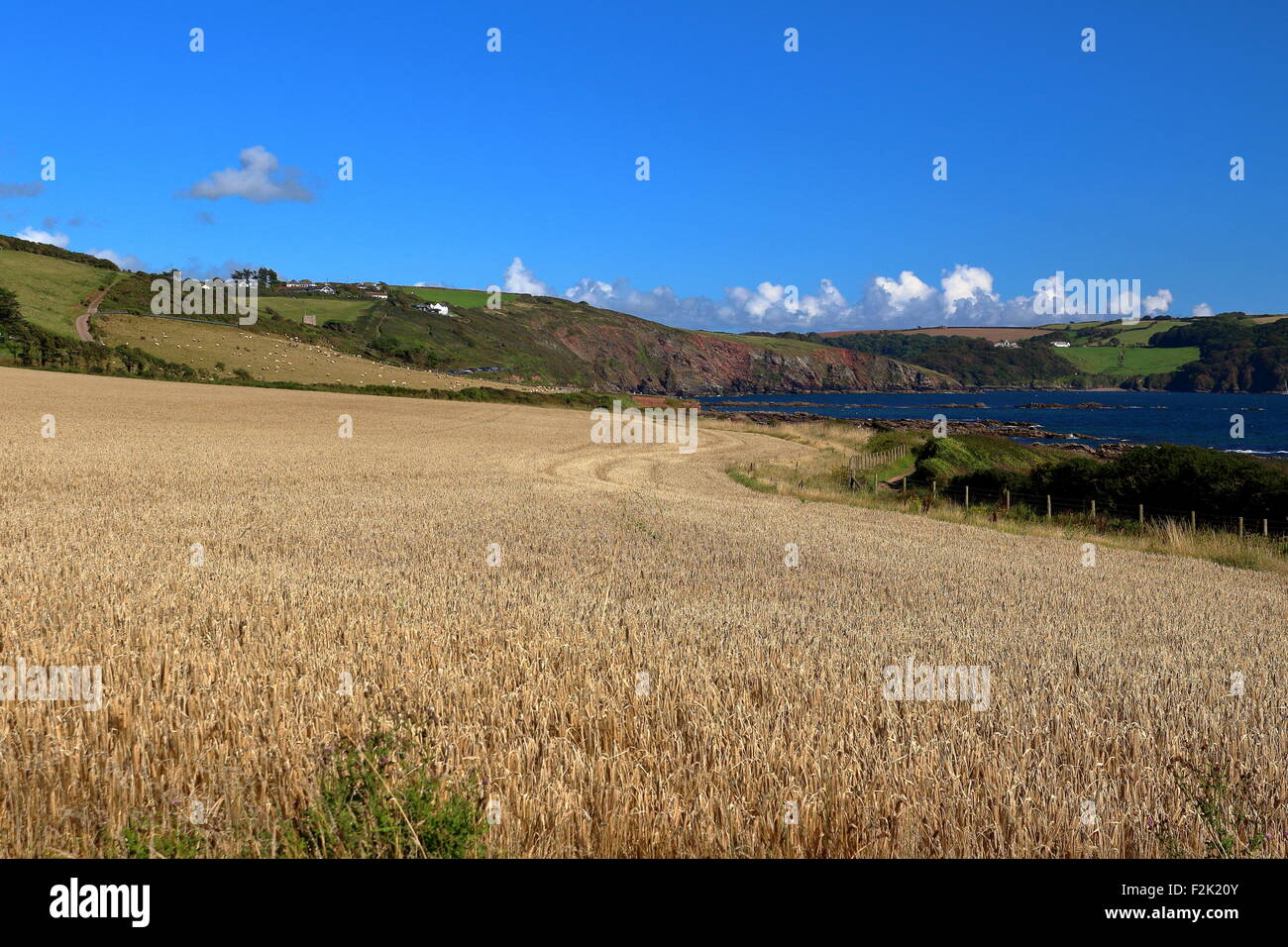 Great Mewstone Devon High Resolution Stock Photography and Images - Alamy
