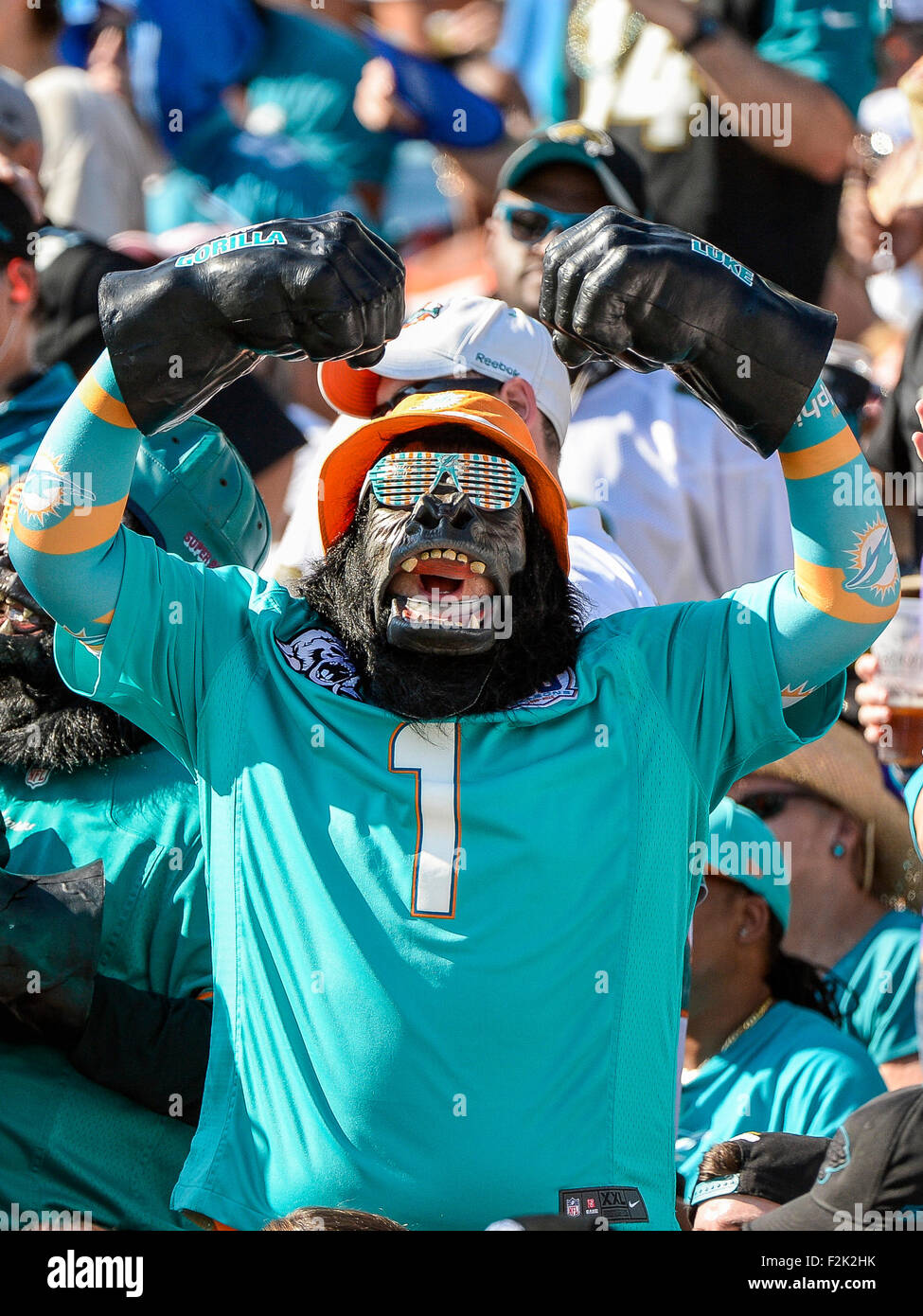Miami dolphins fan hi-res stock photography and images - Alamy