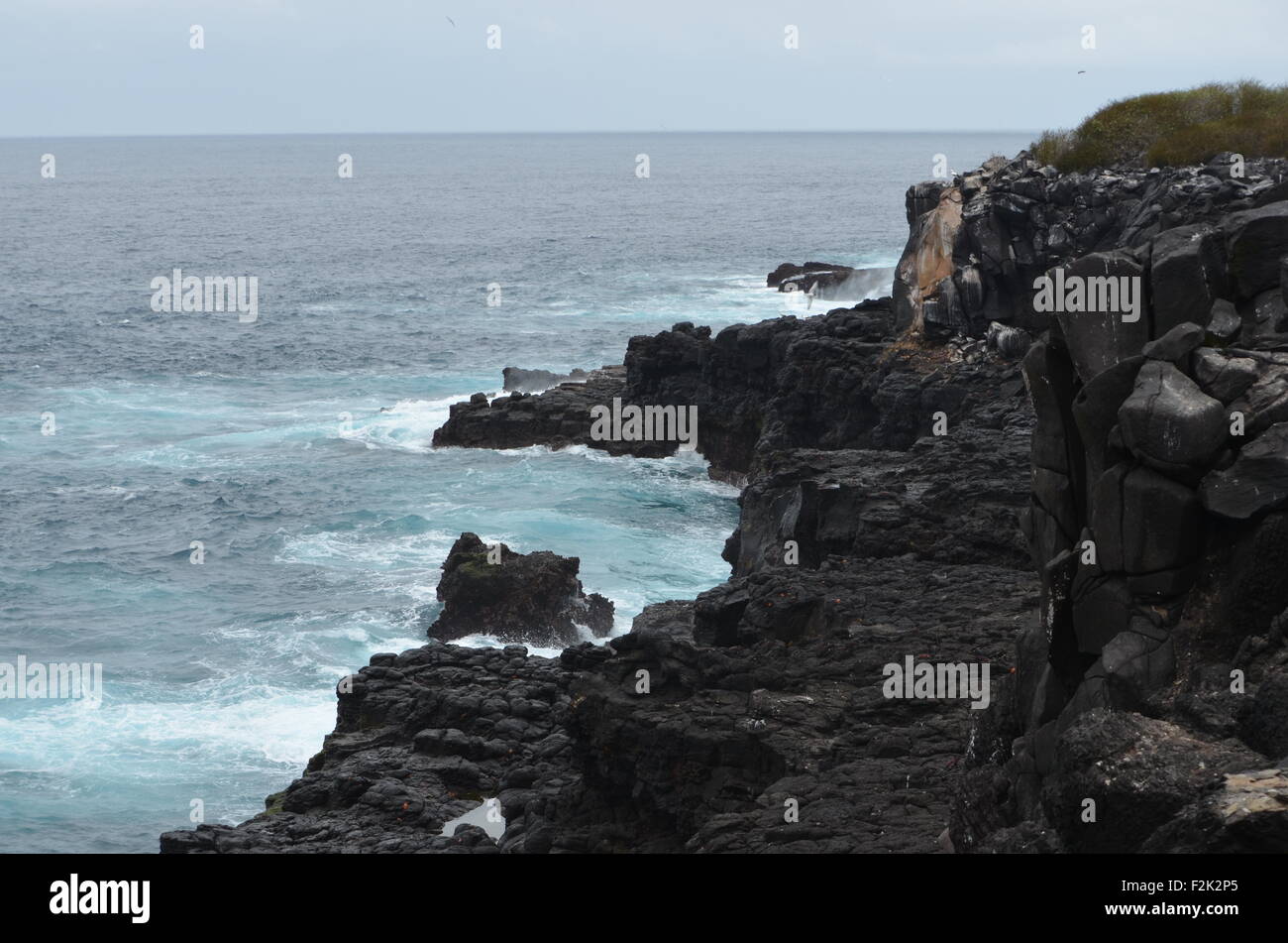 Volcanic rock along the coastline of Suarez Point, Espanola, in the ...