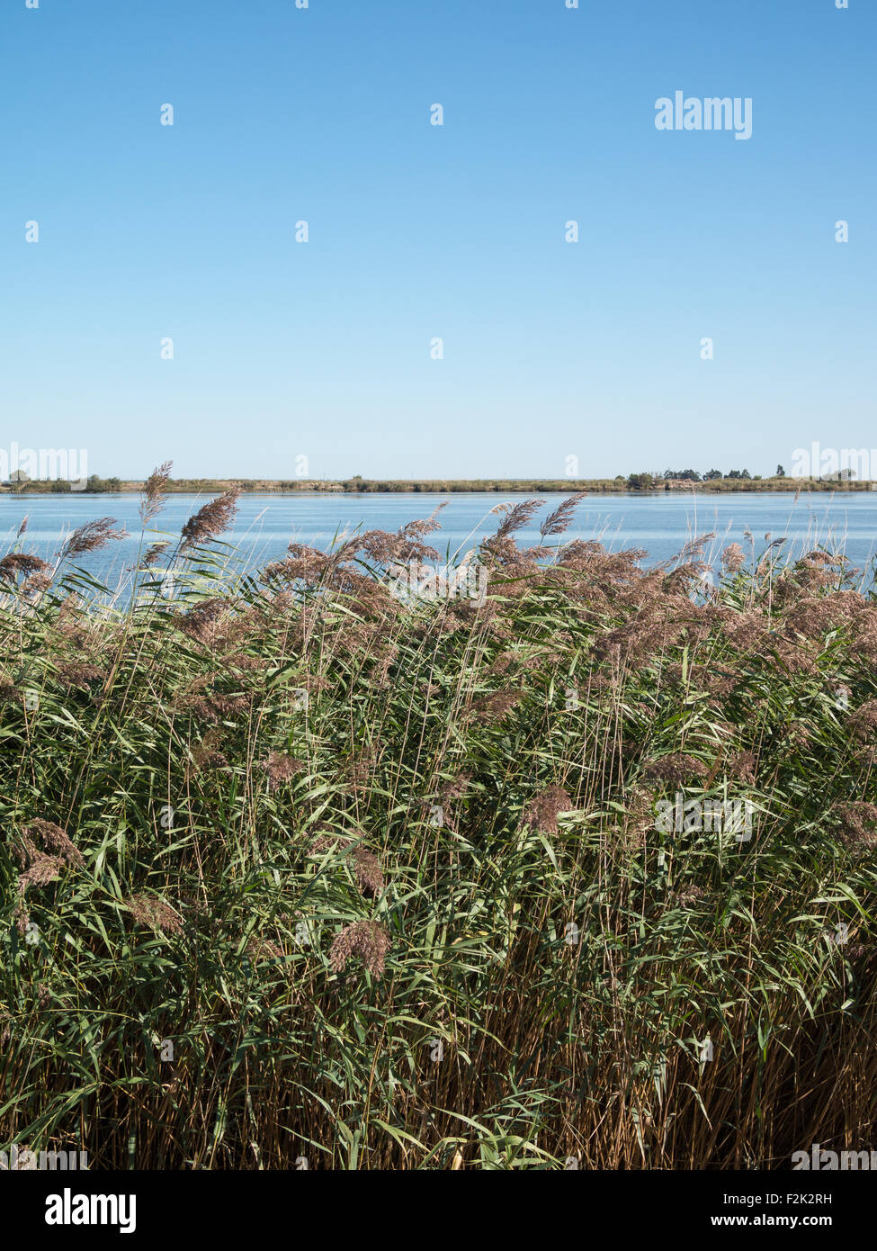 Riverfront landscape hi-res stock photography and images - Alamy