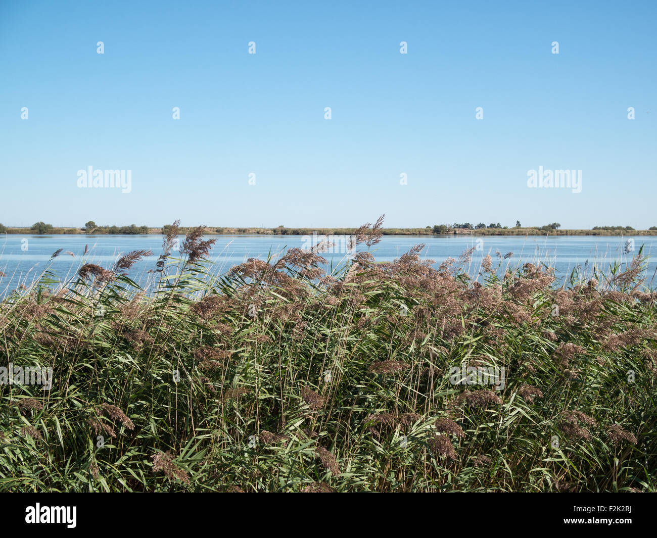 Riverfront landscape hi-res stock photography and images - Alamy