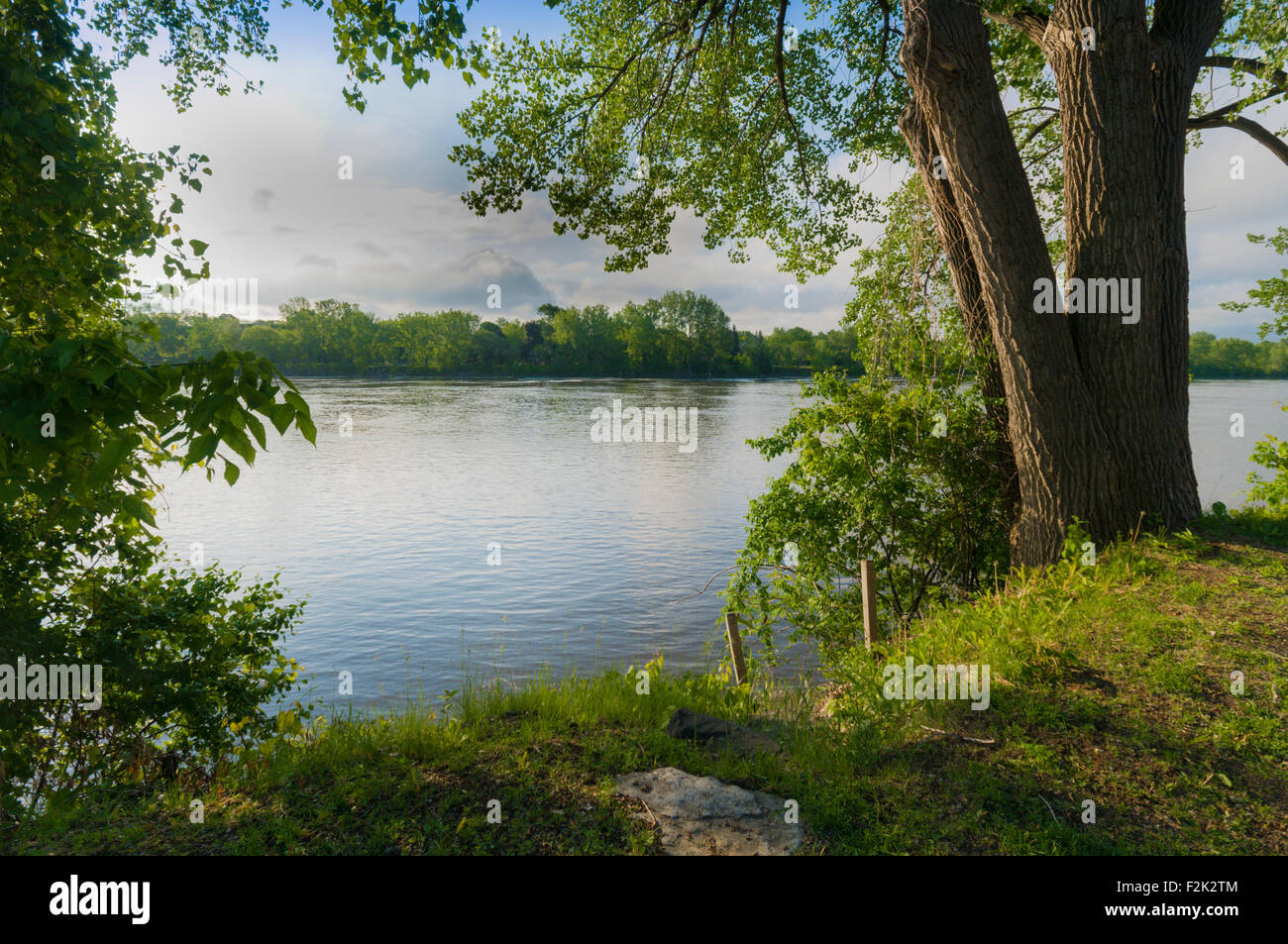 River with nature Stock Photo - Alamy