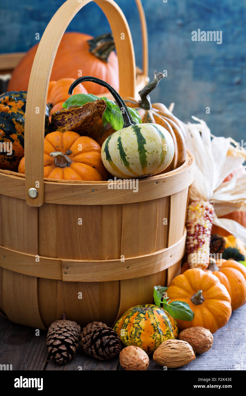 Kabocha Squash Stock Photos & Kabocha Squash Stock Images - Alamy