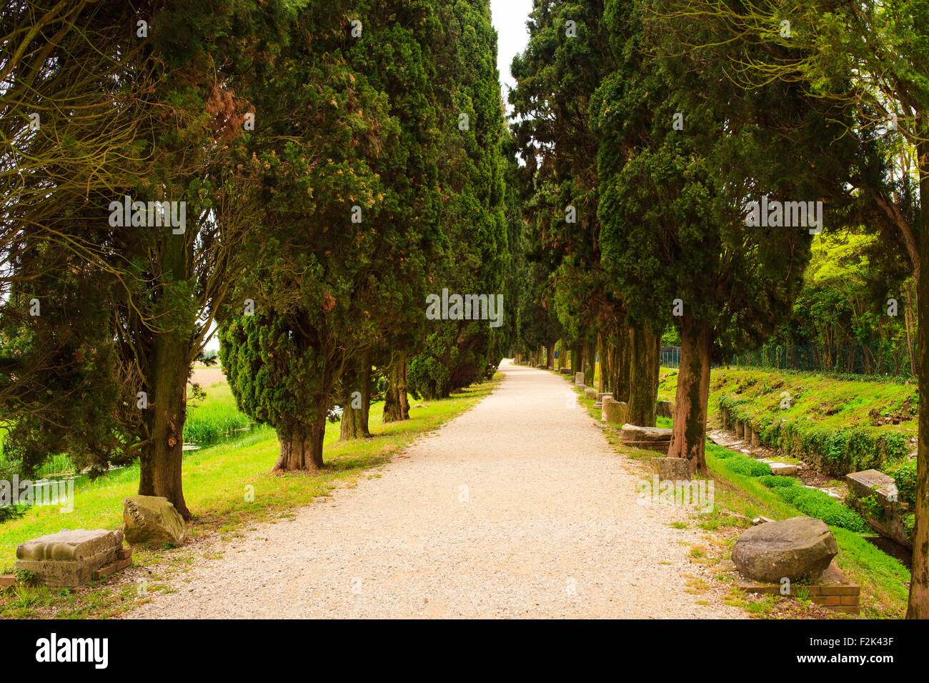 View of cypress road, Roman ruins on Archeological area of Aquileia in ...