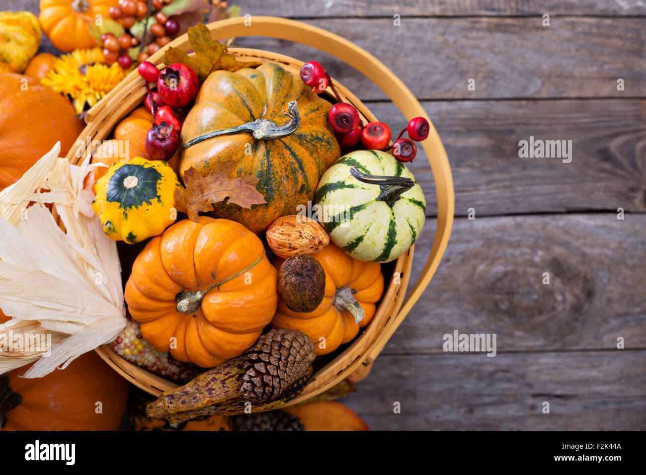 Pumpkins and variety of squash in a harvest basket Stock Photo - Alamy