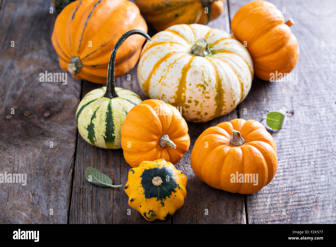 Pumpkins gourds on table hi-res stock photography and images - Alamy
