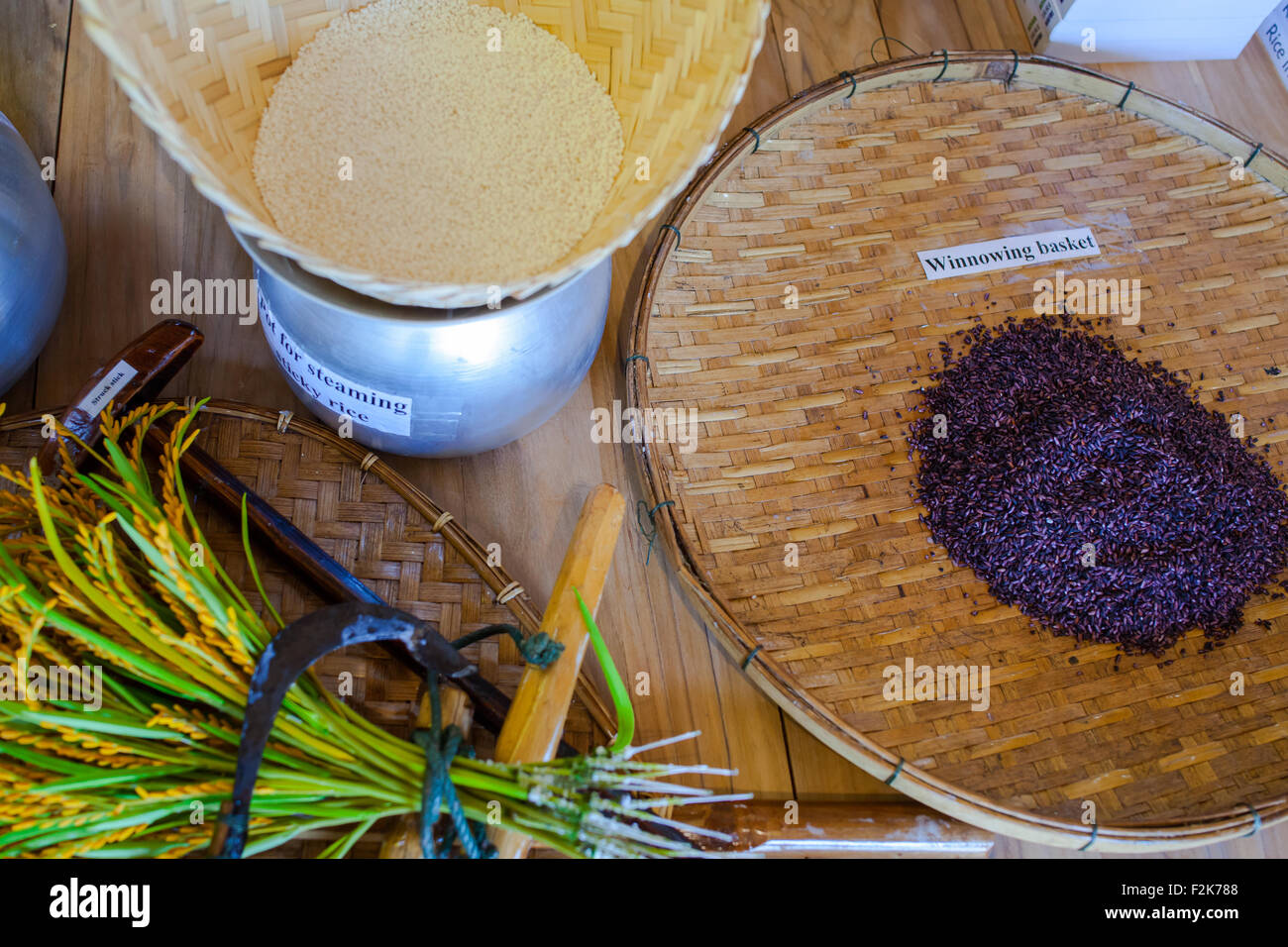 Milan, ITALY - MAY, 20: View of white and red rice in the Rice cluster ...