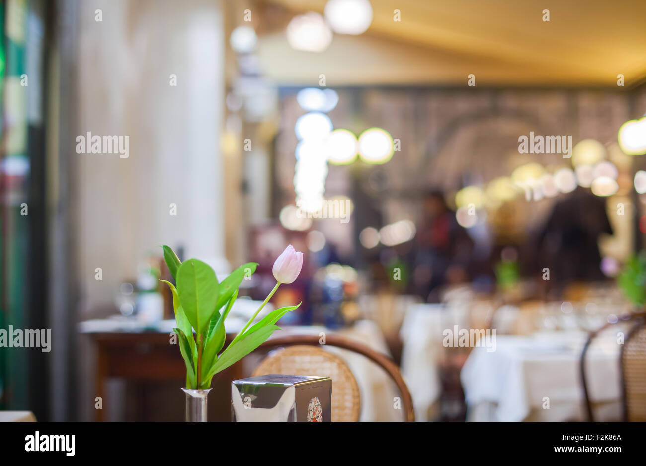 View of tulip flower on the restaurant table Stock Photo - Alamy