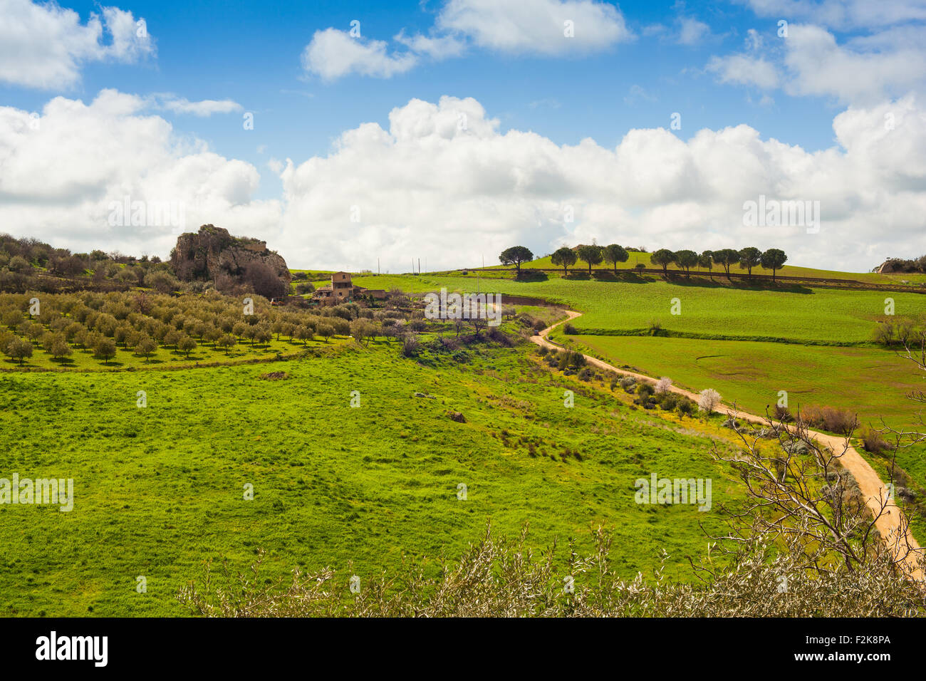 Sicily Agricolture High Resolution Stock Photography and Images - Alamy