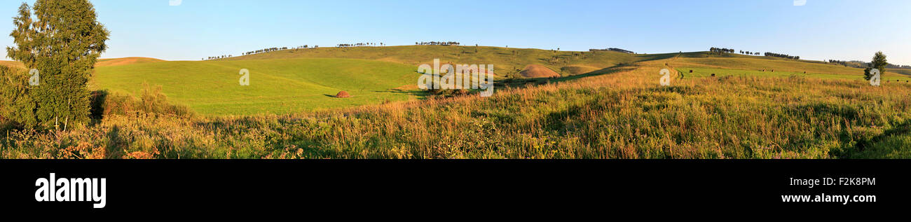 Beautiful panorama agricultural fields in August Stock Photo - Alamy