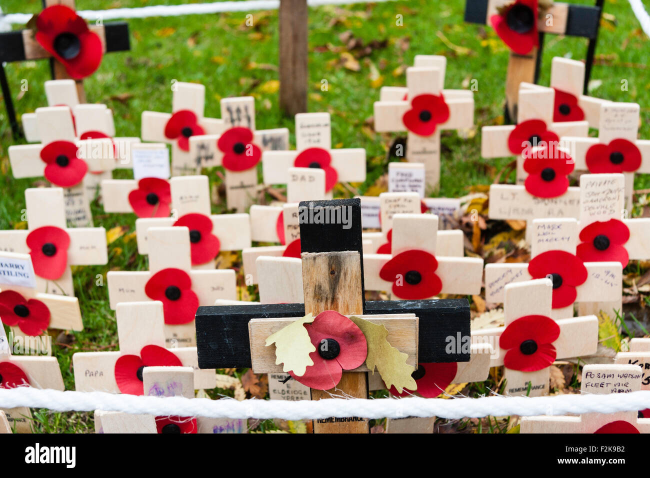 Remembrance poppies on wooden crosses hi-res stock photography and ...
