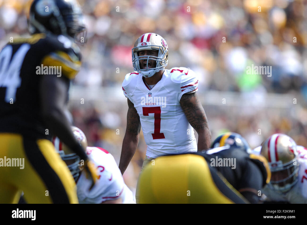 September 20th, 2015: Colin Kaepernick #7 during the San Francisco ...
