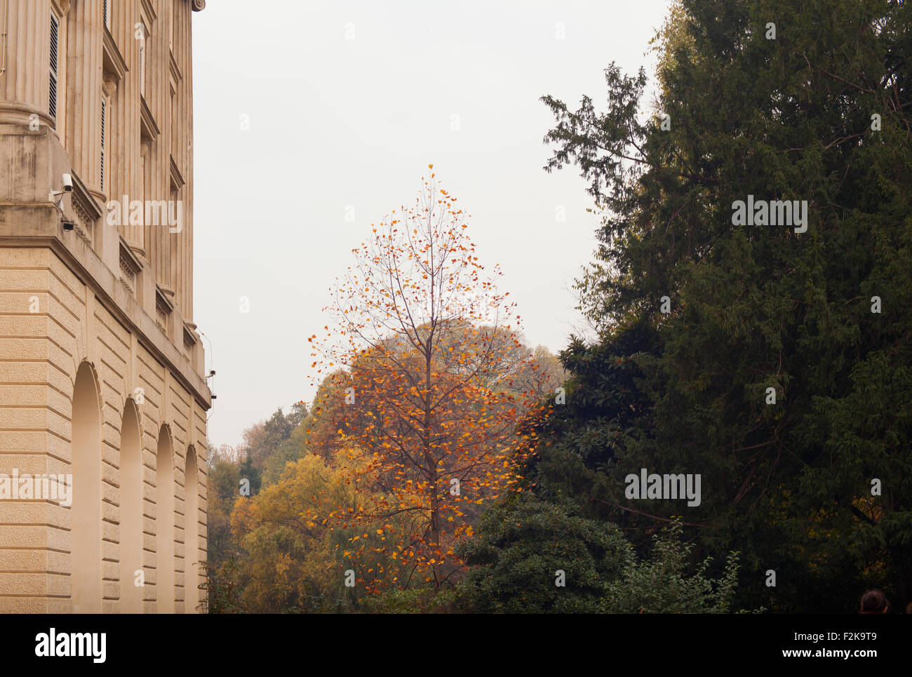 View of Building and tree in Milan Stock Photo - Alamy