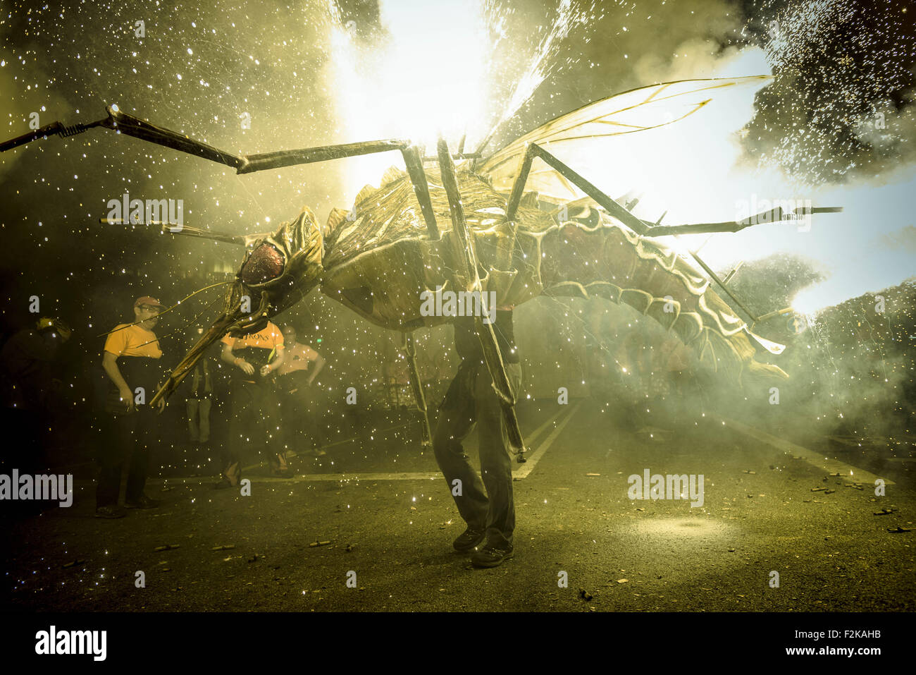 Giant cracker hi-res stock photography and images - Alamy