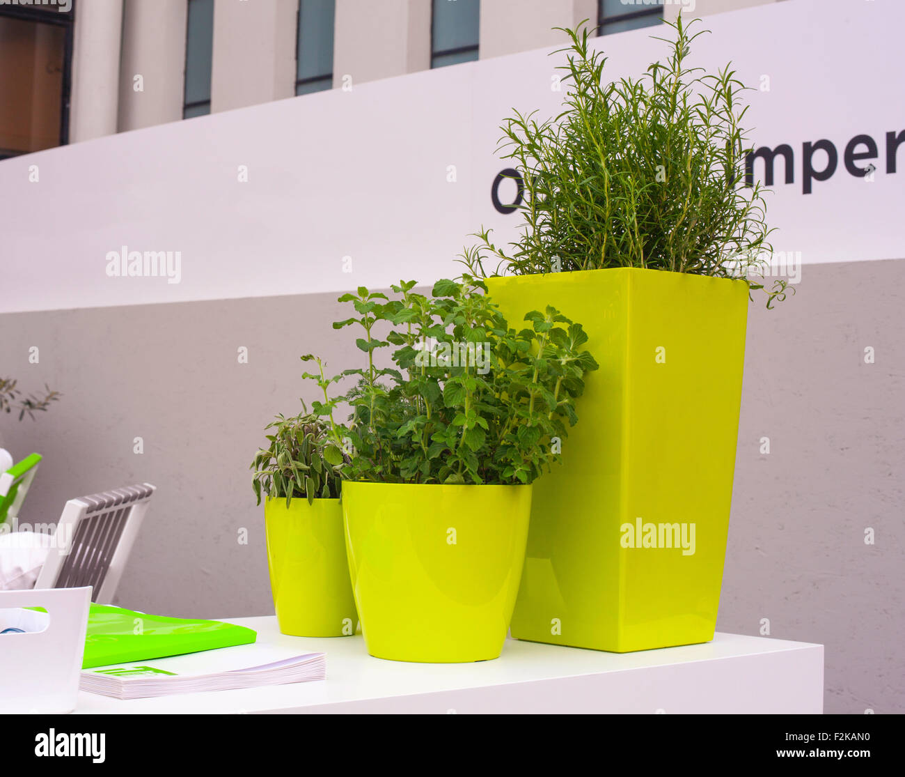 View of Plants inside the green pots Stock Photo - Alamy