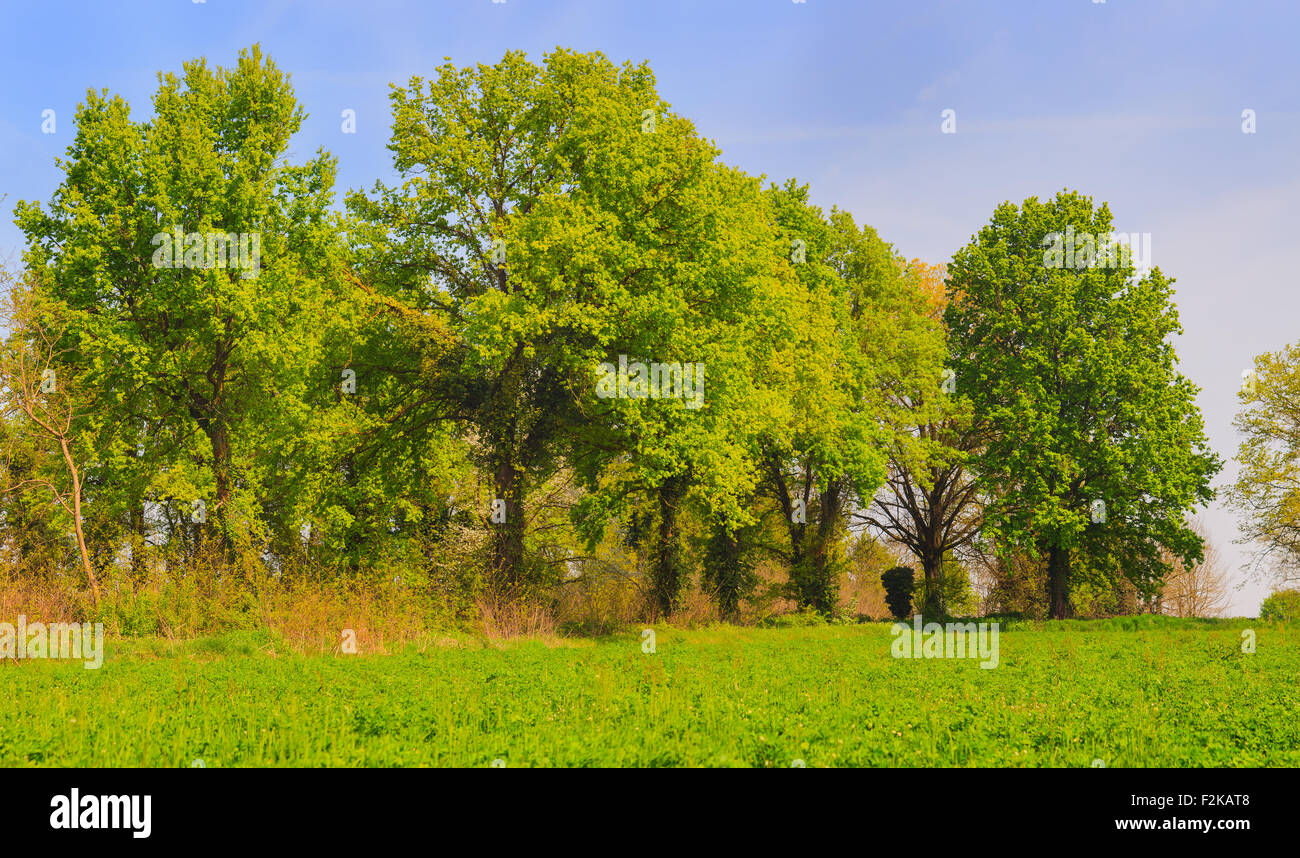 Ticino park hi-res stock photography and images - Alamy