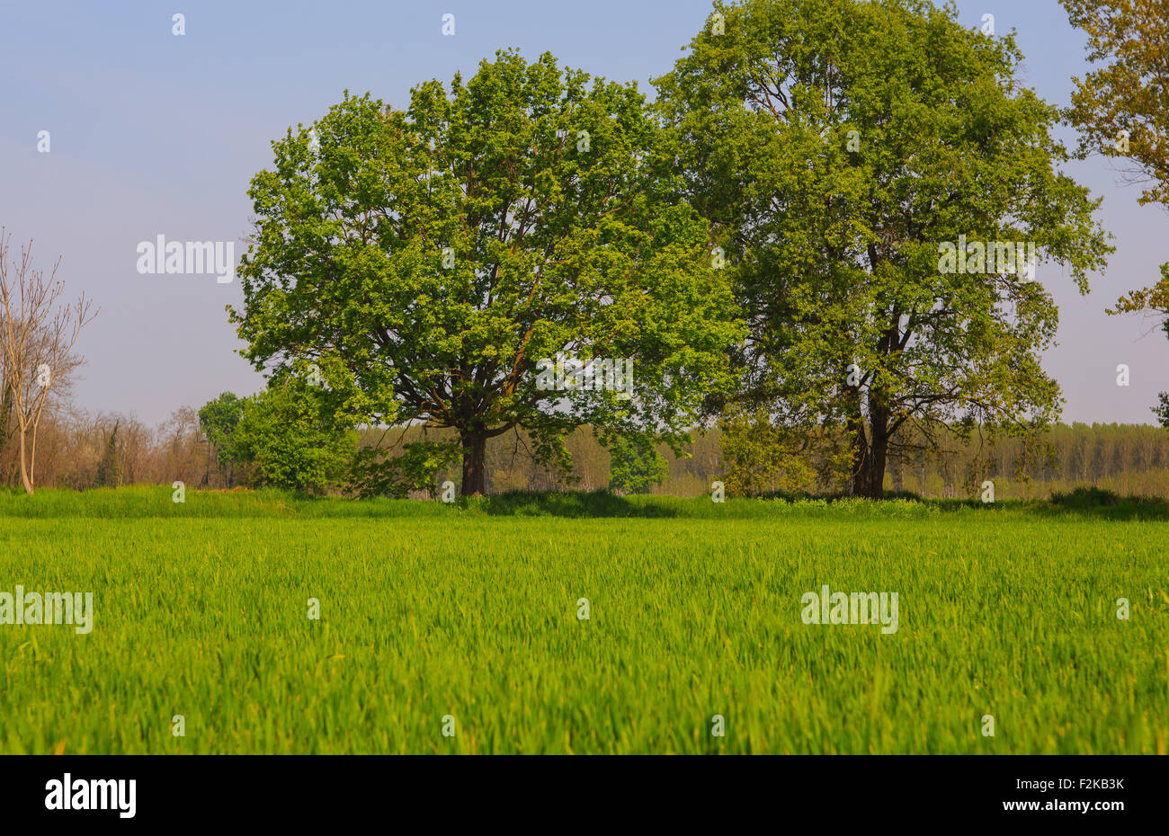 Italian natural park hi-res stock photography and images - Alamy