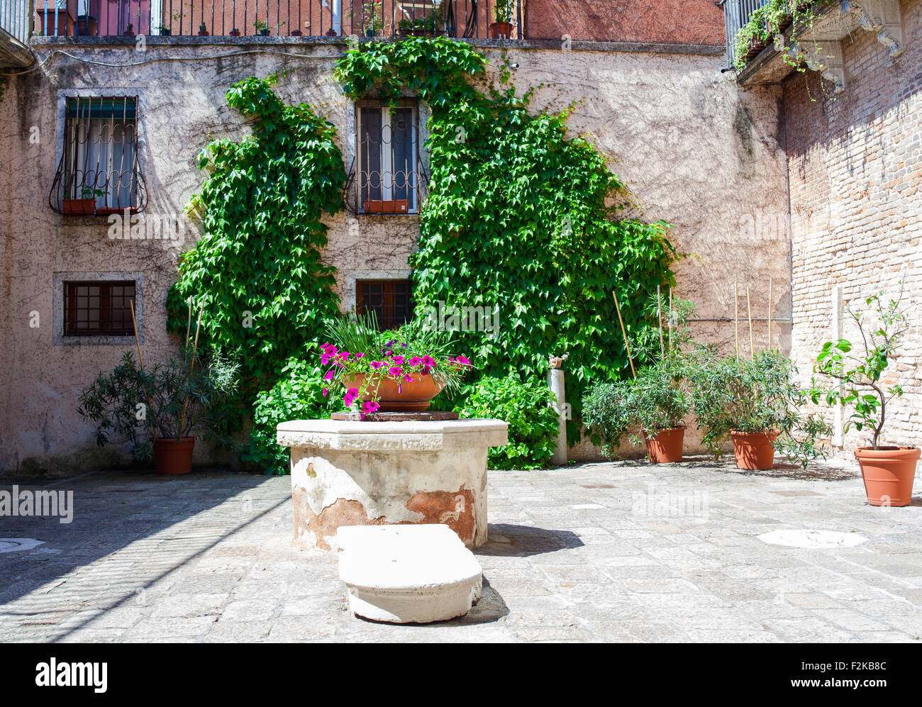 View of Typical Venice well covered by flowers Stock Photo - Alamy