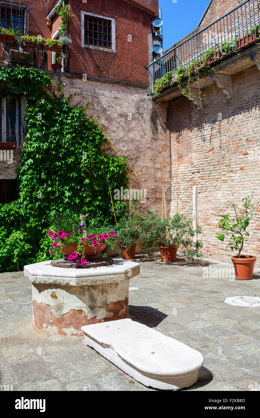View of Typical Venice well covered by flowers Stock Photo - Alamy