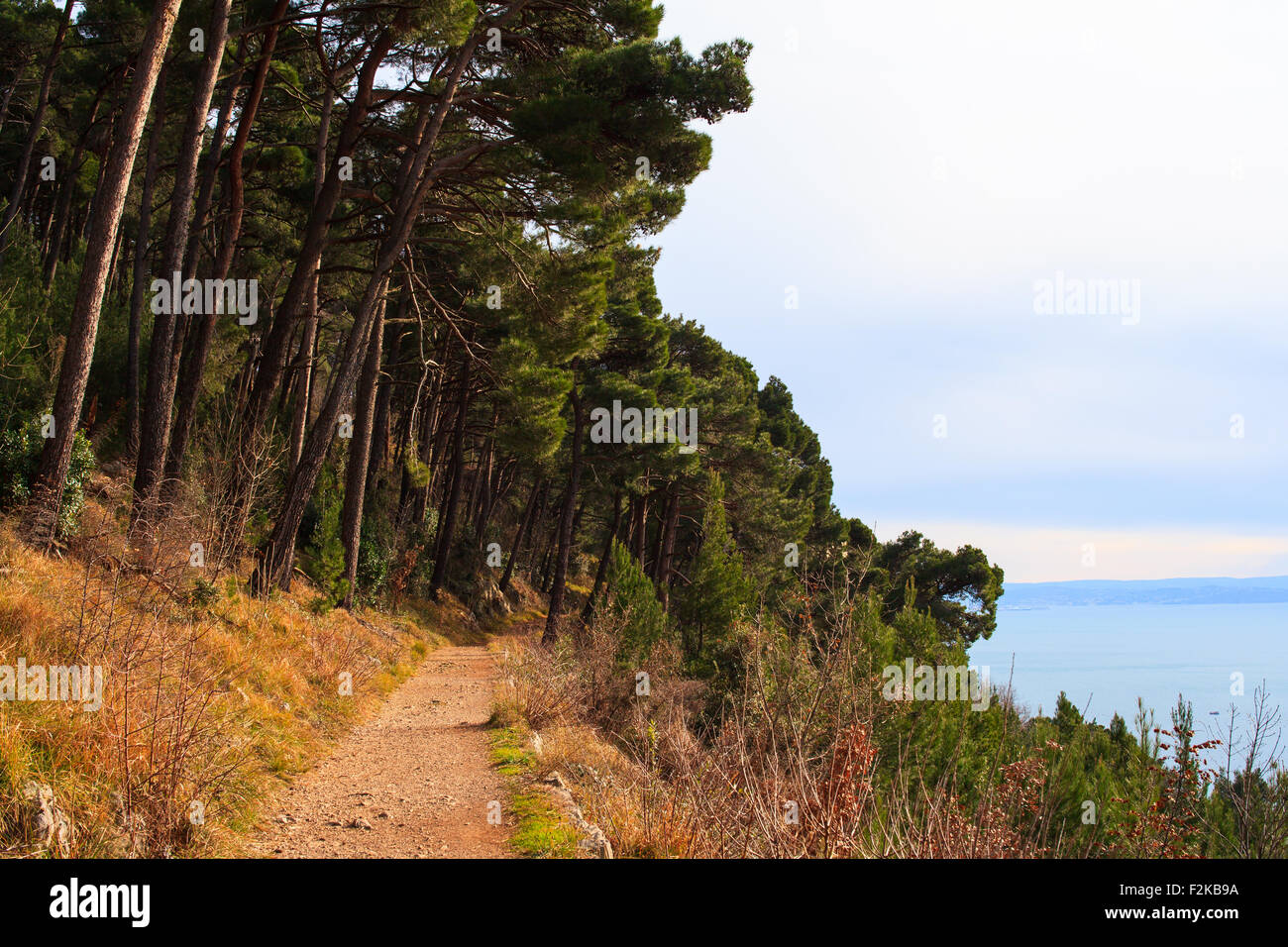 Via della Salvia, friuli Venezia Giulia, Italy Stock Photo - Alamy