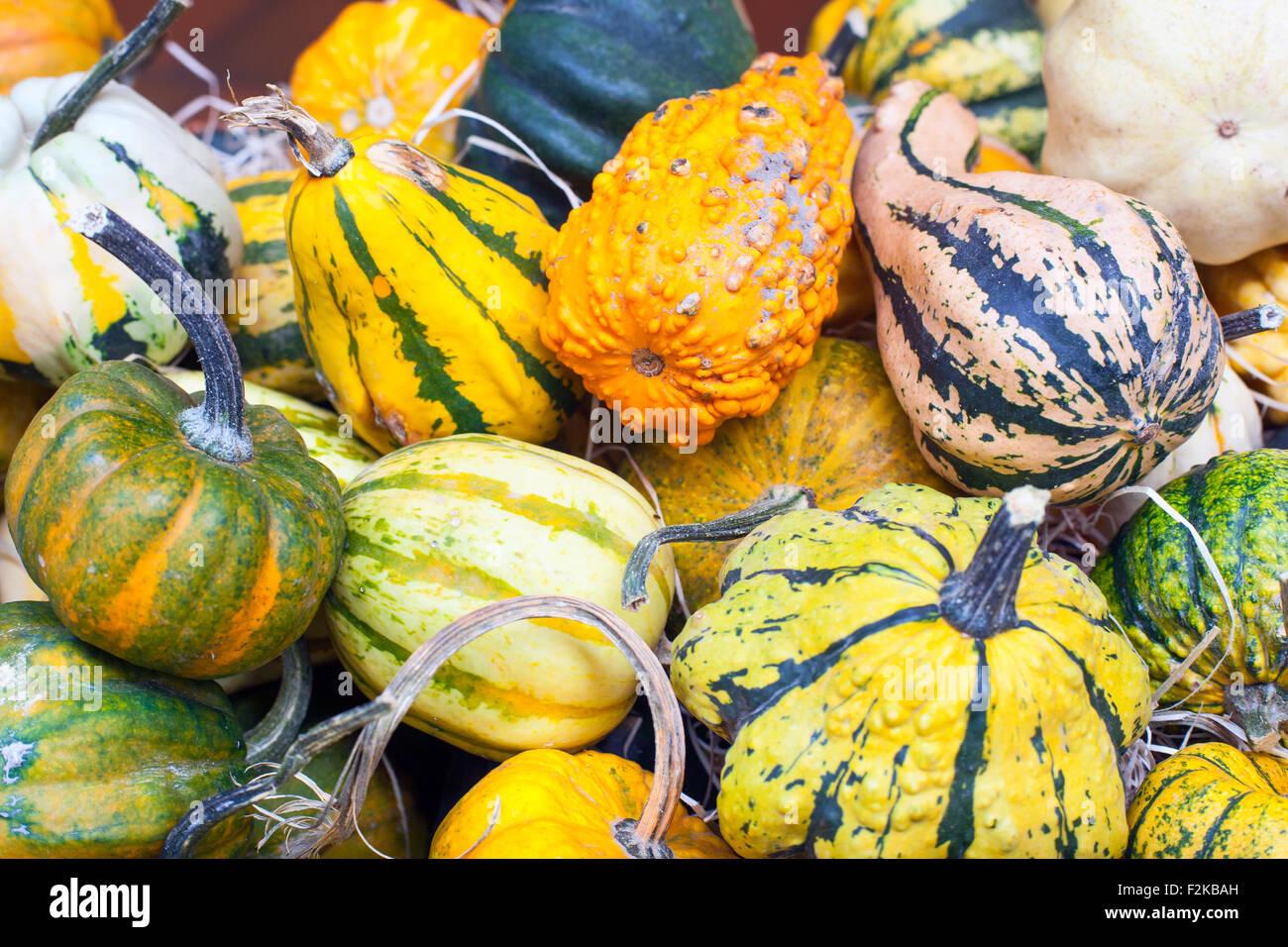 Orange pumpkins in market hi-res stock photography and images - Alamy