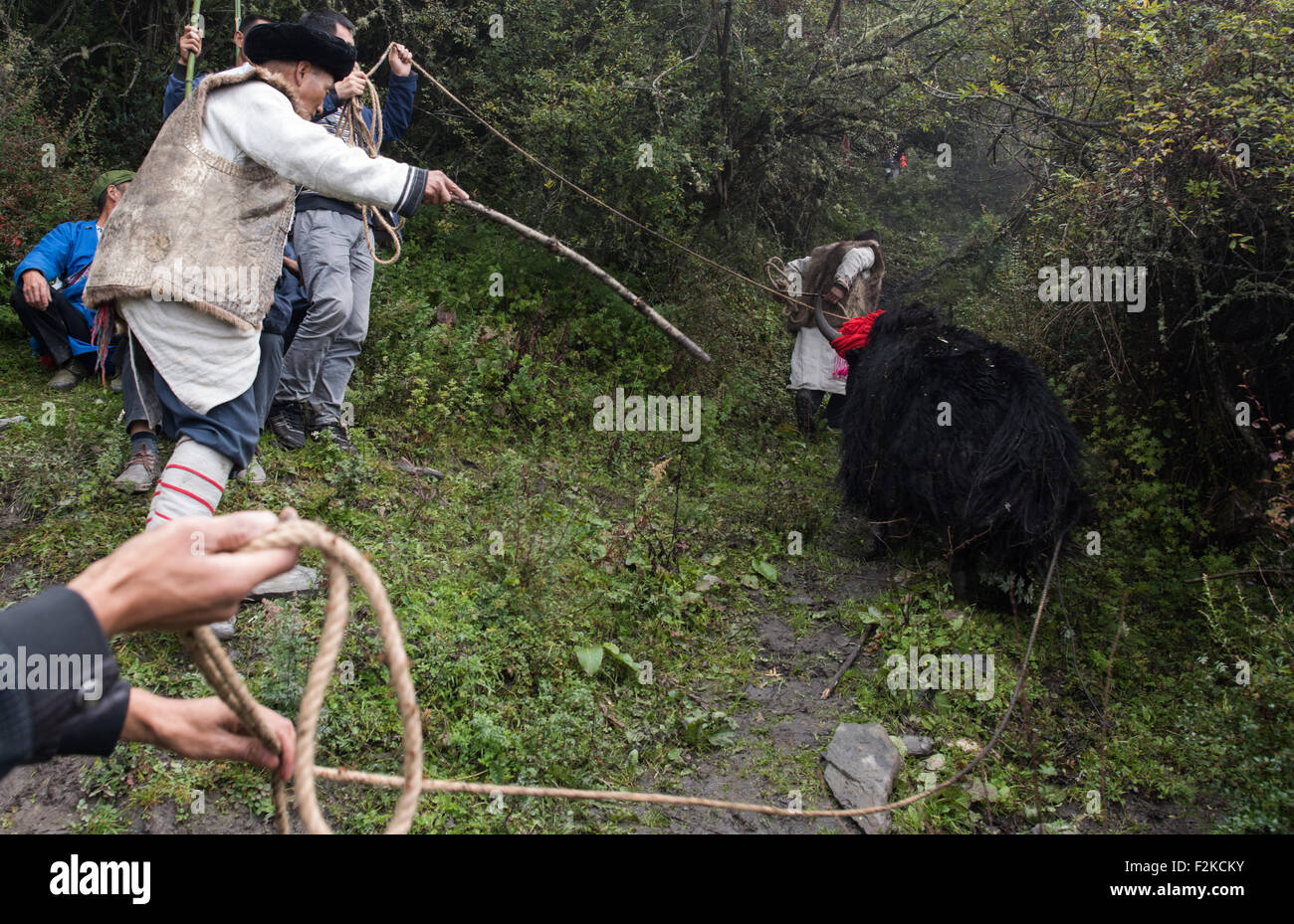 550 meters hi-res stock photography and images - Alamy