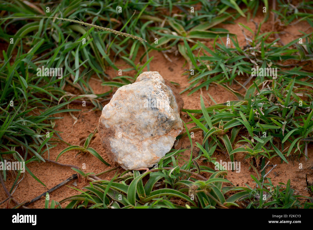 Every thing has a story to tell even this stone.Decaying memories Stock ...