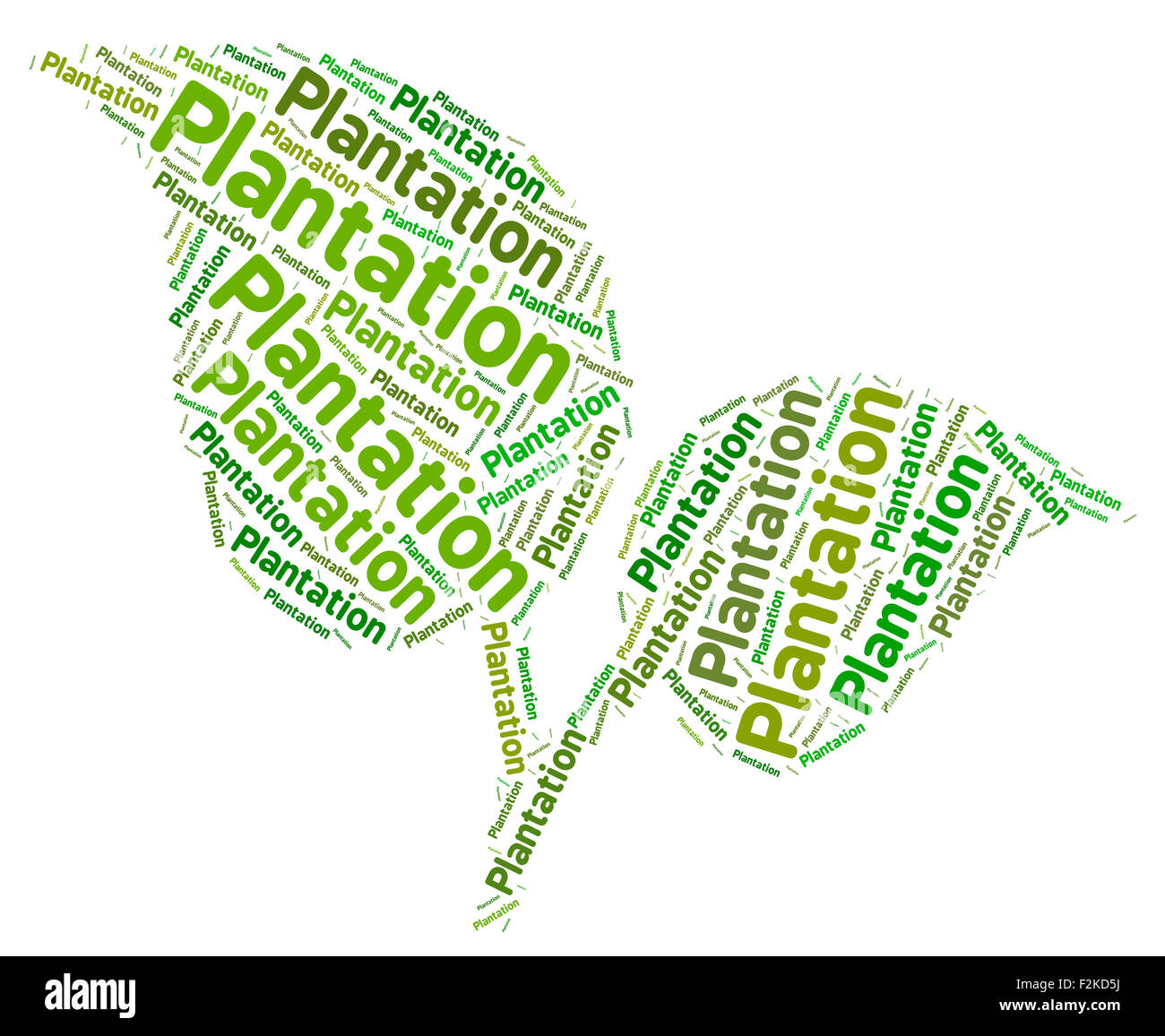 Plantation Word Showing Farmed Plantations And Agricultural Stock Photo ...