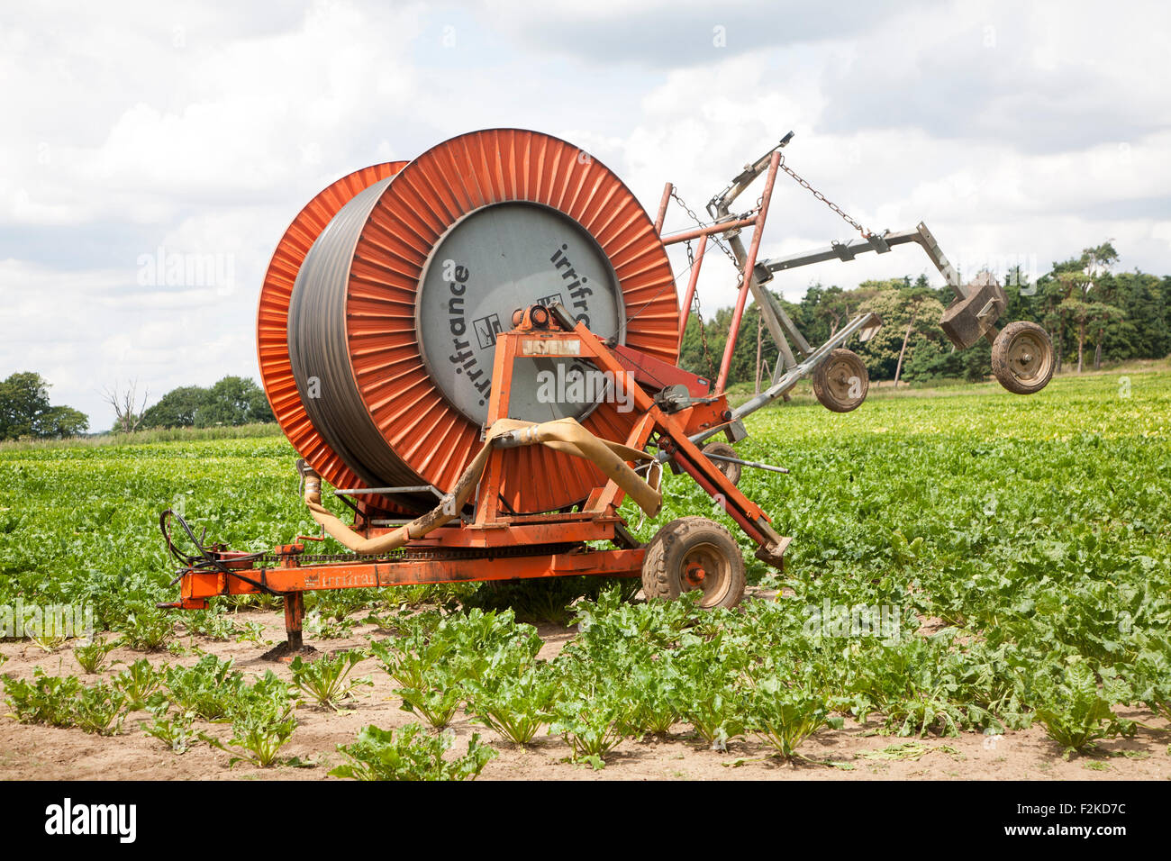 Irrigation sprayer machine standing in field of sugar beet, Sutton ...